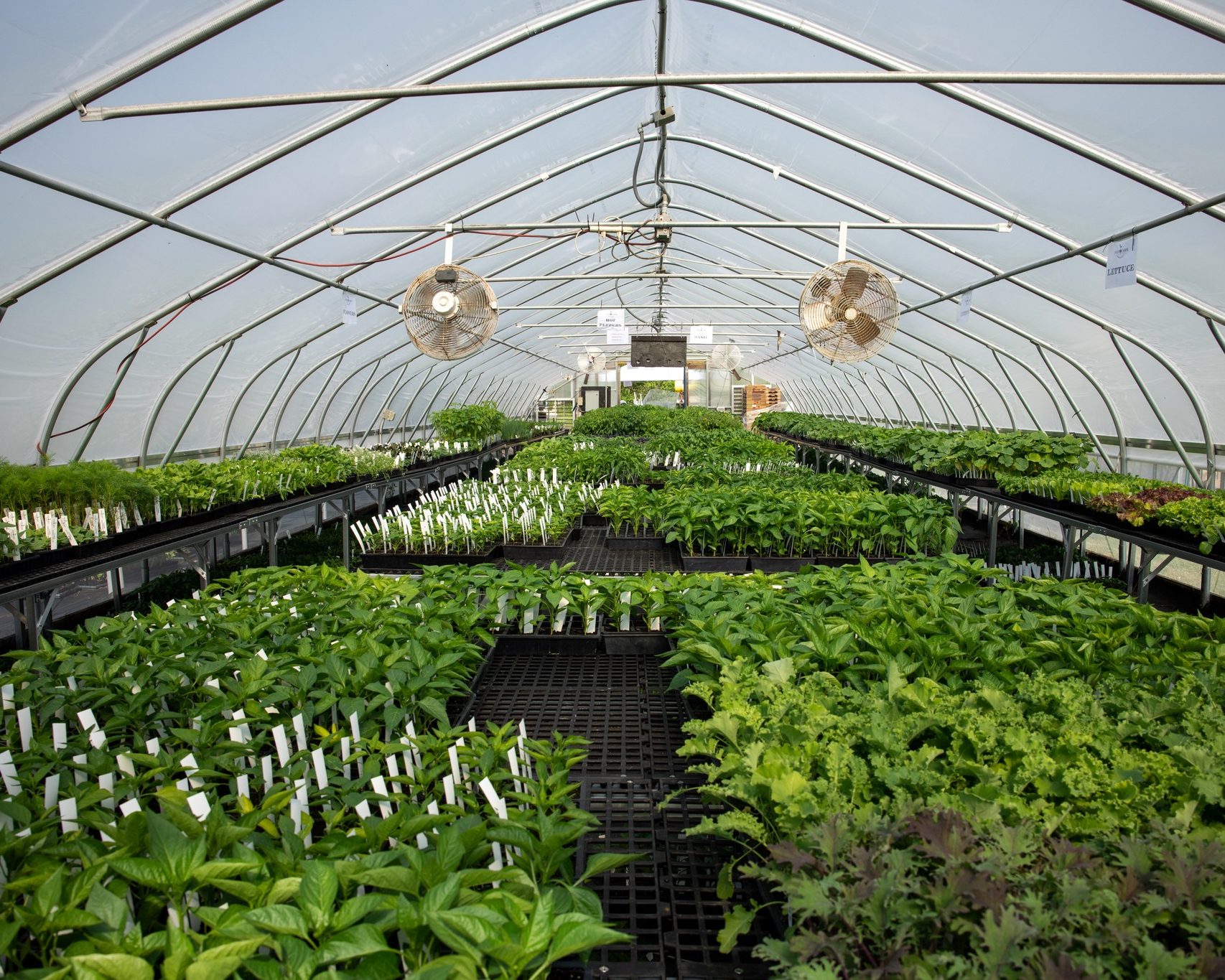 Fall Plant Sale | New Tripoli Bank